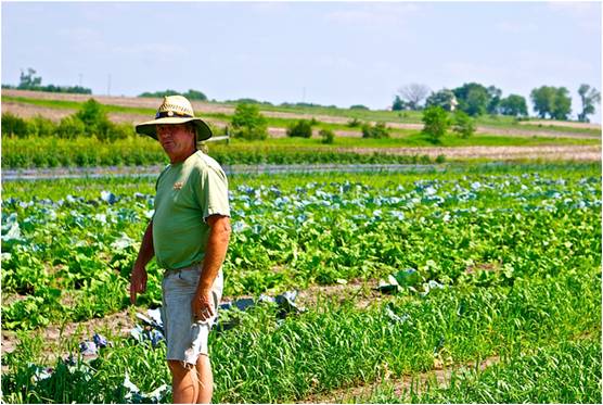 Irick Farms - Limestone Pizza Kitchen Bar